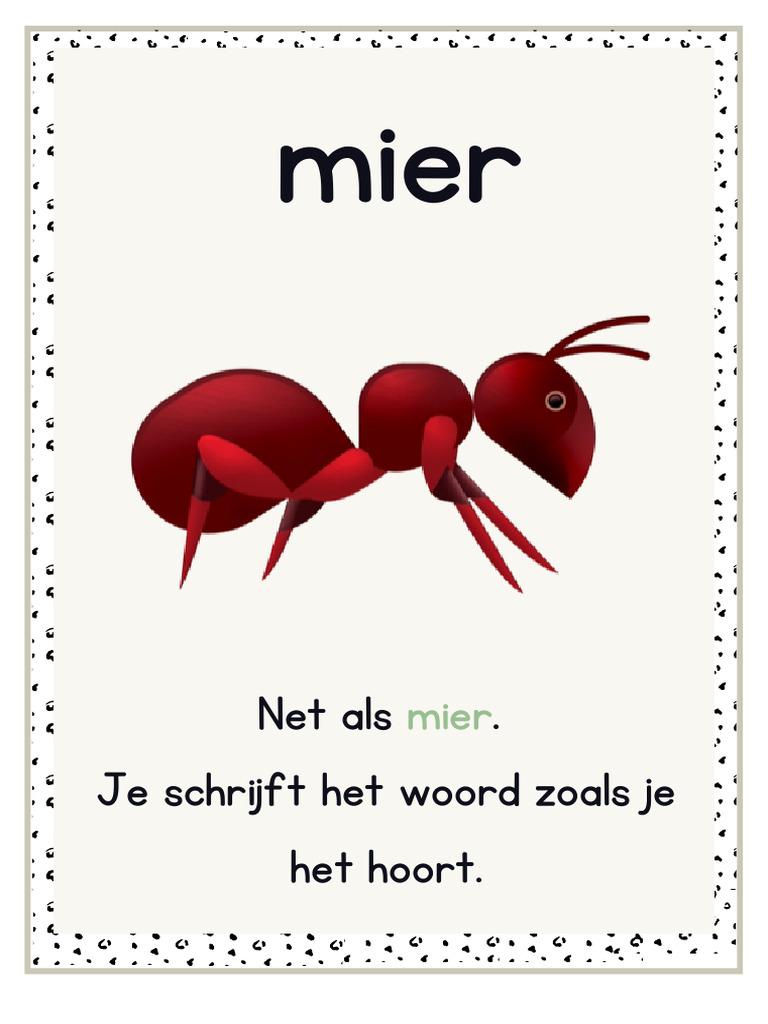 Mier | PDF