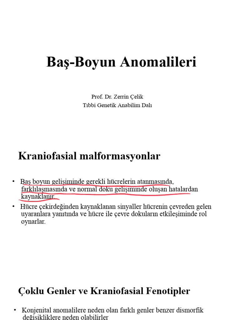Baş Boyun Anomalileri PDF | PDF