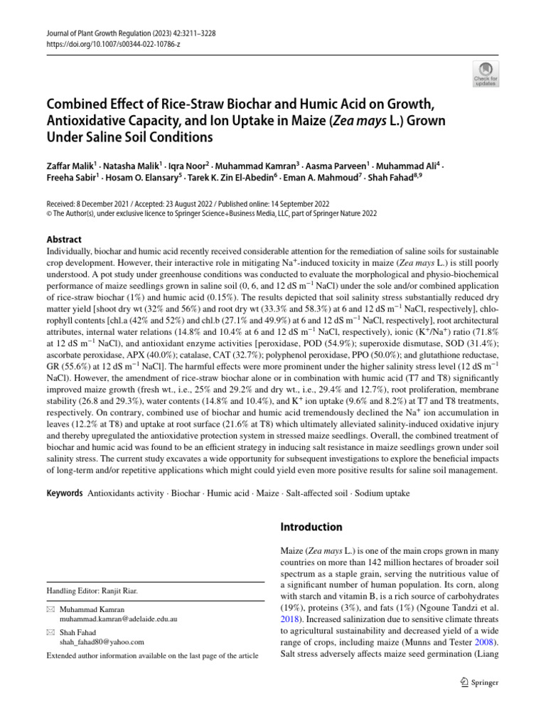 Combined Efect of Rice Straw Biochar and Humic Acid On Growth | PDF ...