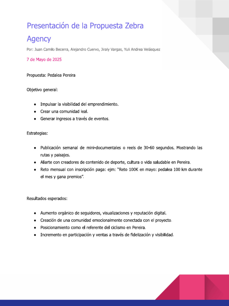 Propuesta Zebra Agency | PDF