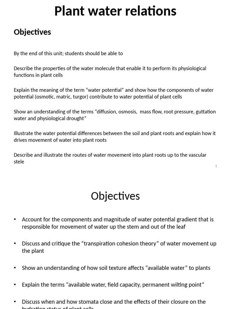 Plant Water Relations EP | PDF | Stoma | Humidity