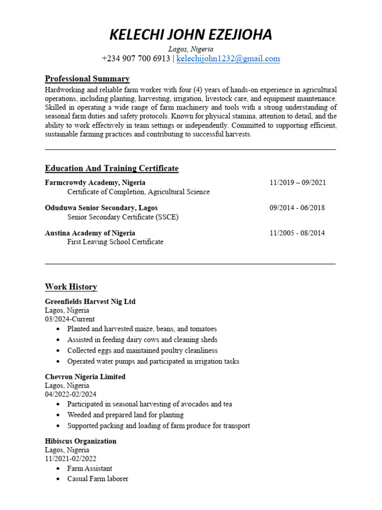 Kelechi John Curriculum Vitae | PDF