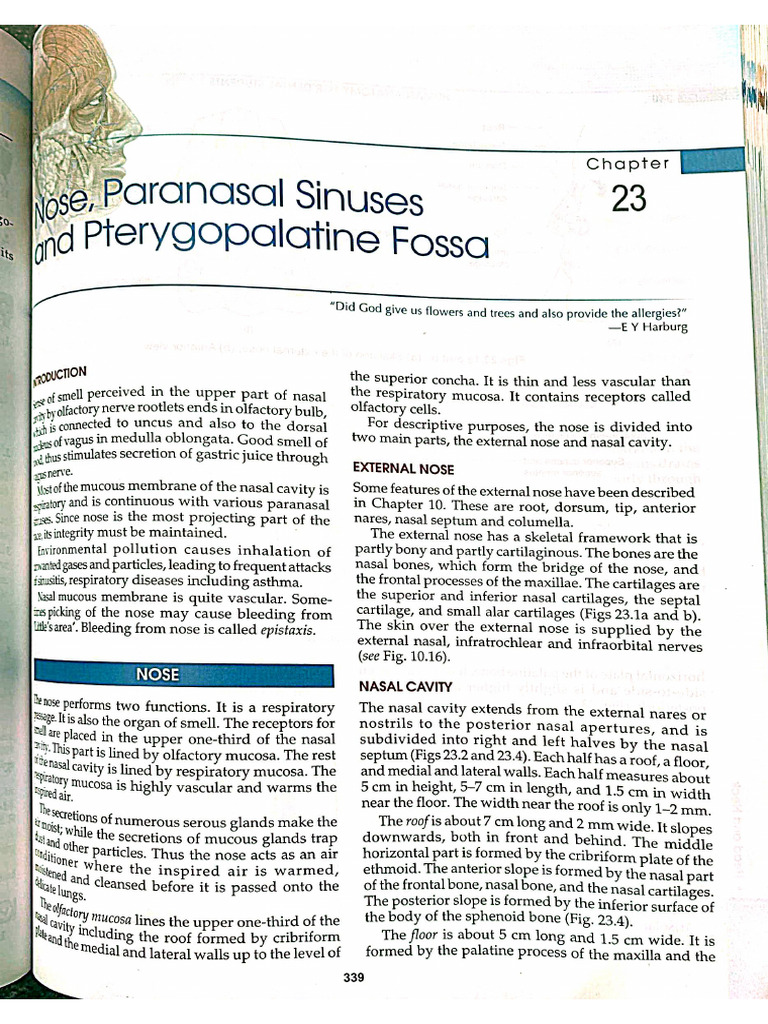 Nose | PDF