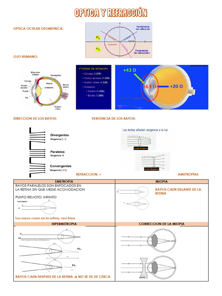 Defectos Visuales y Corrección Óptica | PDF | Ojo humano | Miopía