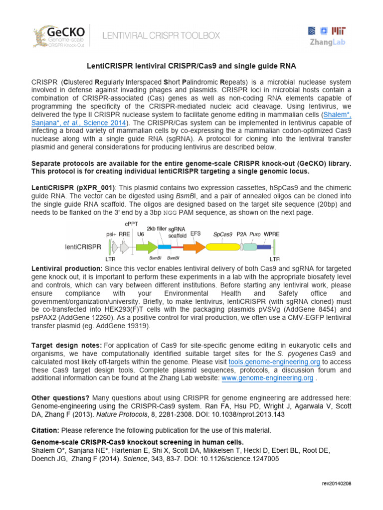 LentiCRISPR Addgene-Tong's Protocol | PDF | Crispr | Biology