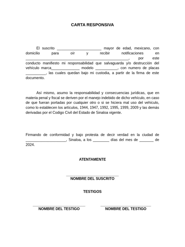 Carta Responsiva - Formato | PDF