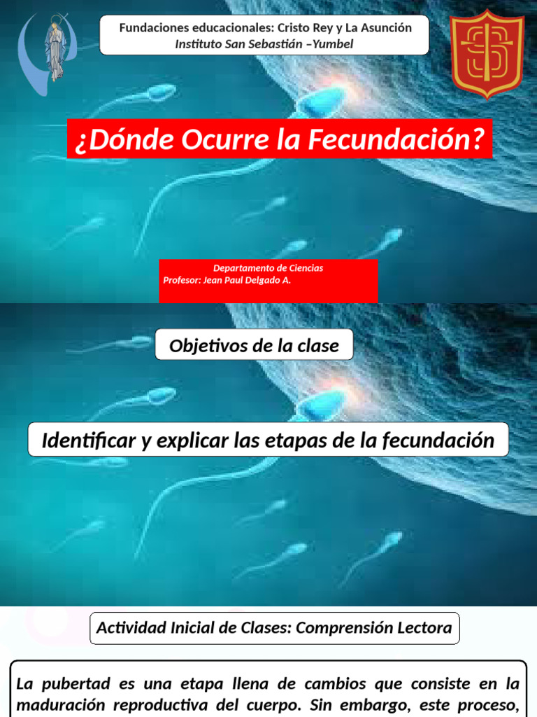 Donde Ocurre La Fecundación 2 Medio A (Semana Del 14 Al 18 de Julio ...