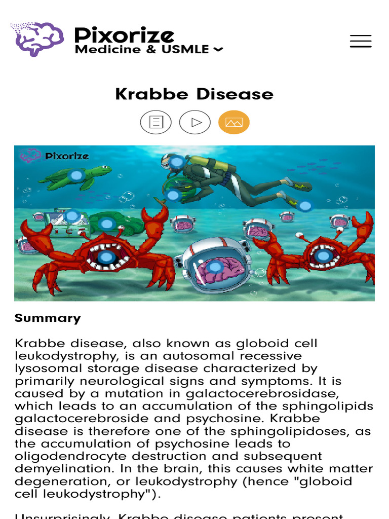 Krabbe Disease Mnemonic For USMLE | PDF