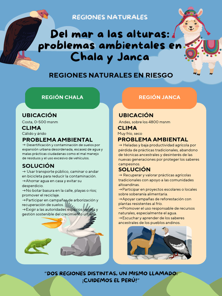 Del Mar A Las Alturas Problemas Ambientales en La Chala y La Janca | PDF