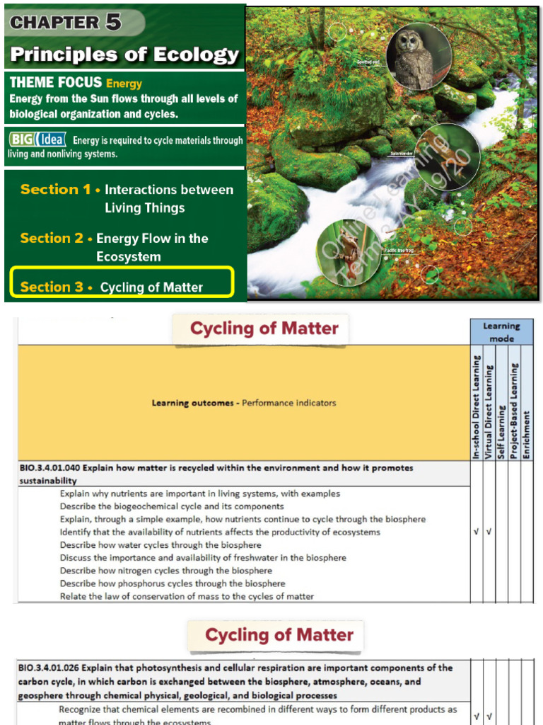 Water and Matter Cycles in Ecosystems | PDF | Ecosystem | Soil