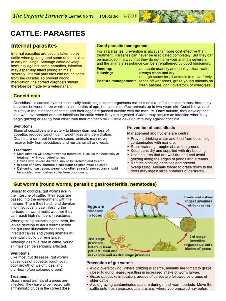 4202.19 Cattle Parasites 20.5.2010 | PDF