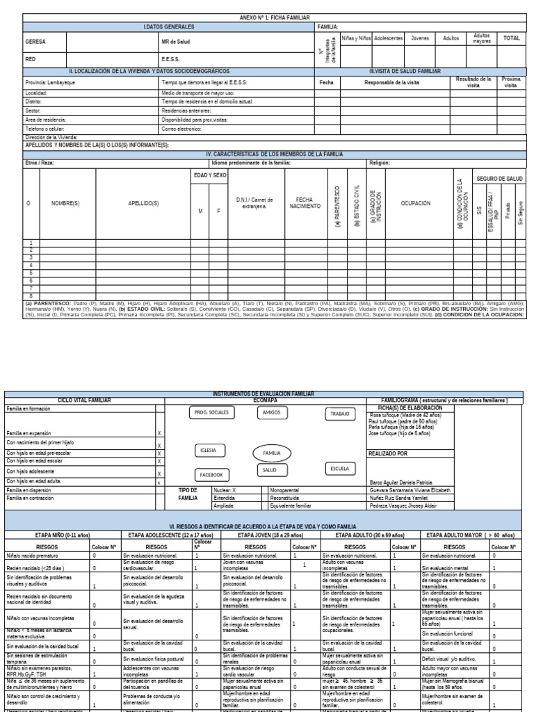 Ficha Familiar | PDF