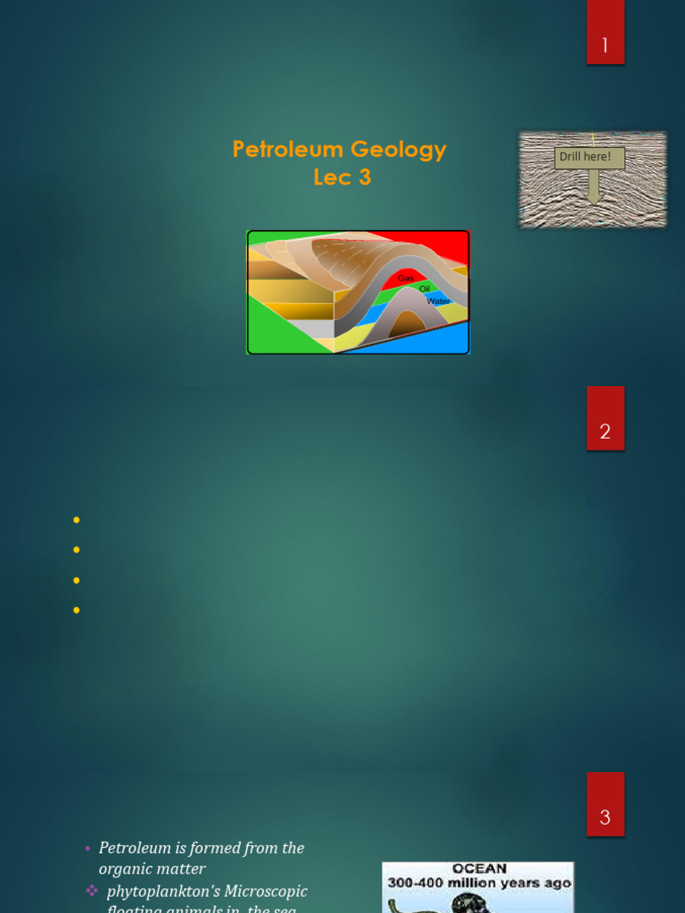Petroleum Geology: Organic Matter & Kerogen | PDF | Sedimentary Rock ...