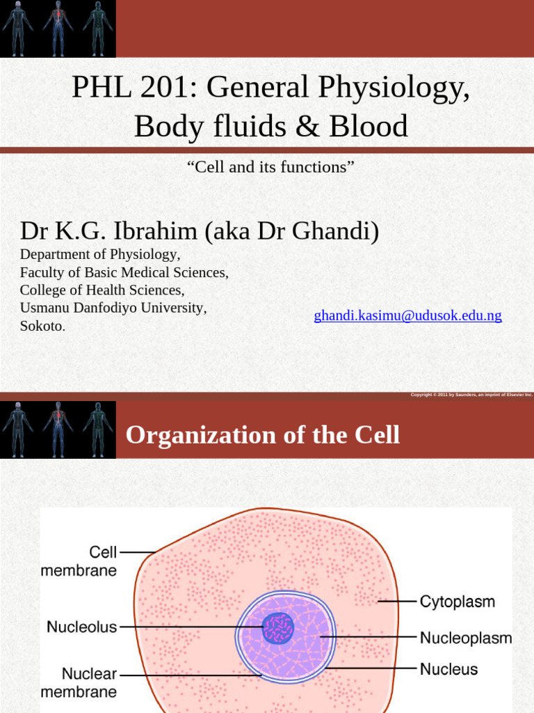 Cell and Its Functions | PDF | Cell Membrane | Endoplasmic Reticulum