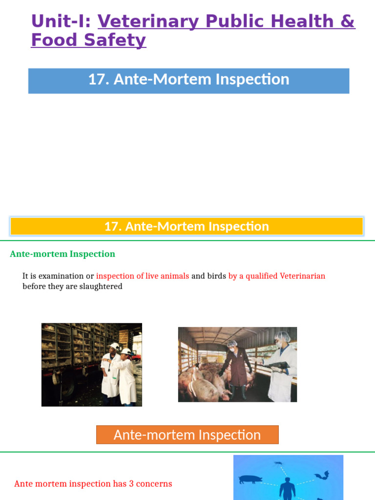 17 Ante Mortem Inspection | PDF | Slaughterhouse | Animal Slaughter