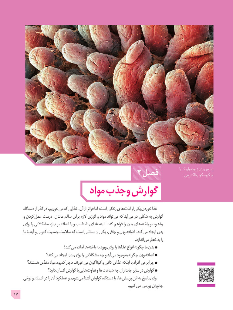 Zist Tajrobi 10 Part2 | PDF