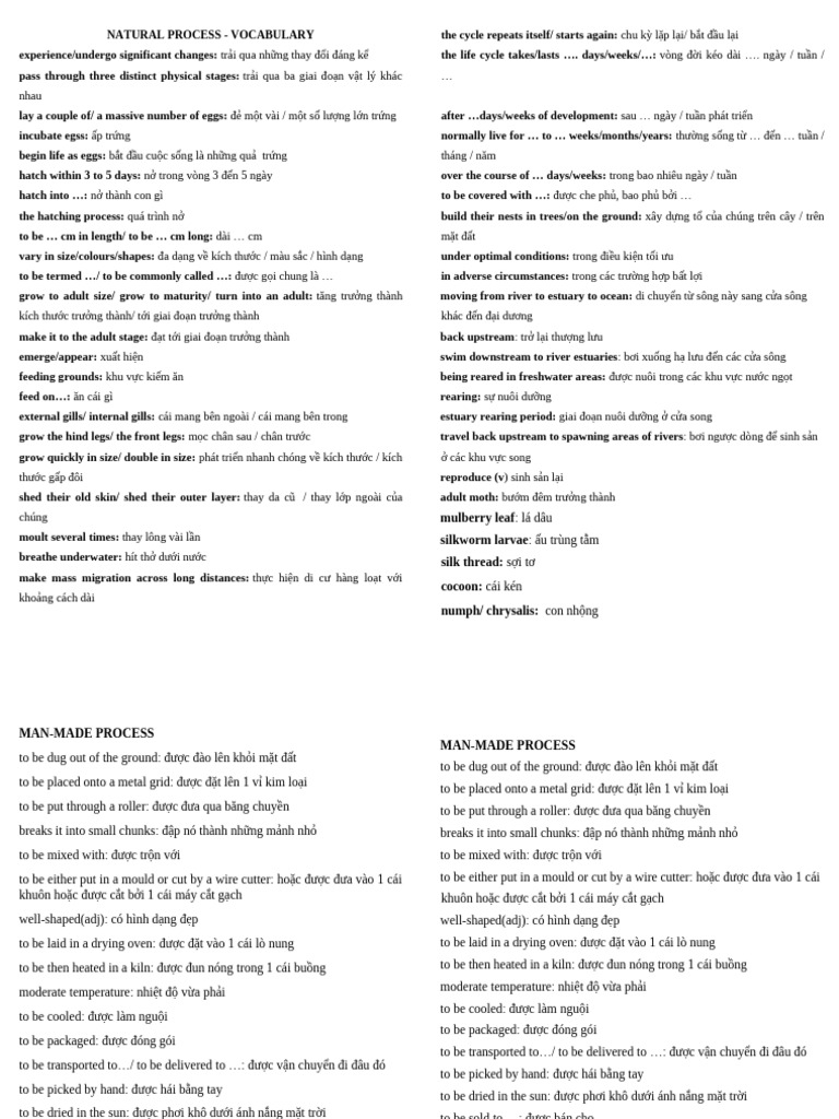 Process Vocabulary | PDF