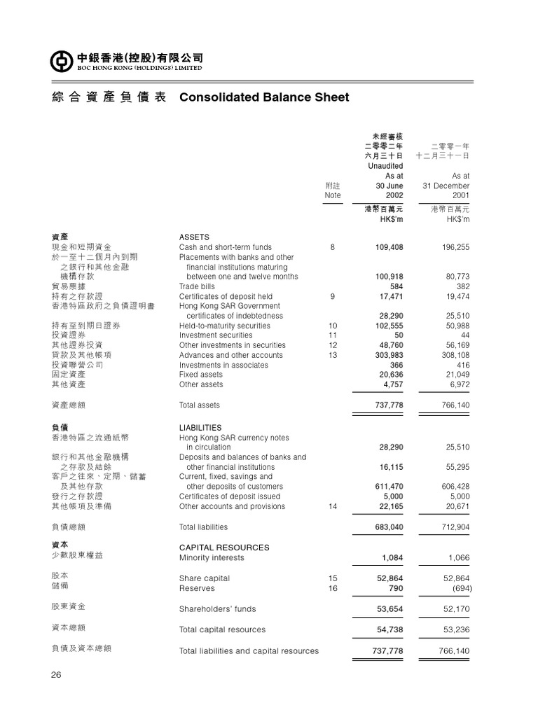Consolidated Balance Sheet: Unaudited As at 30 June 2002 | PDF ...