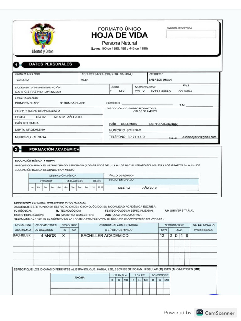 Hoja de Vida Emerson Vasquez | PDF