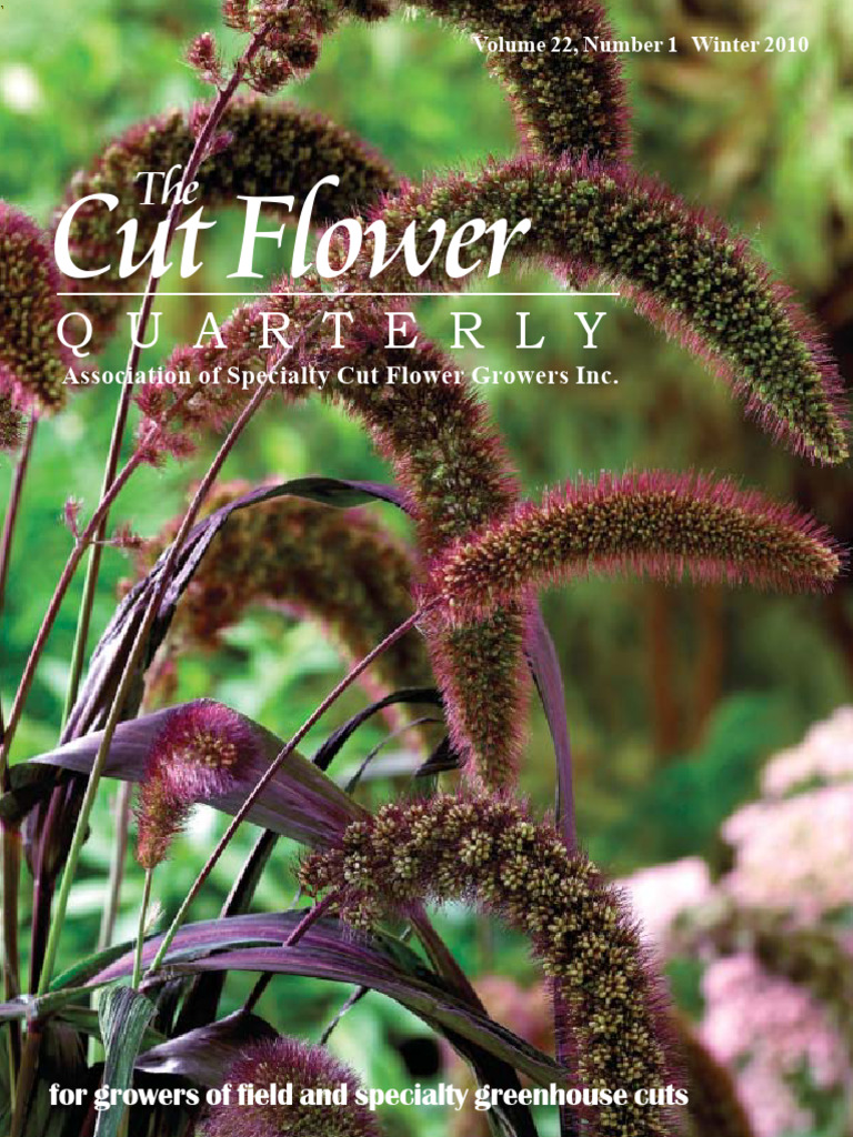 Cut Flower Quarterly, The - V022N01 (Winter 2010) | PDF | Rose | Flowers