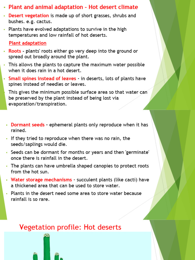 Lesson 2. 8 - Plant and Animal Adaptation - Hot Deserts | PDF