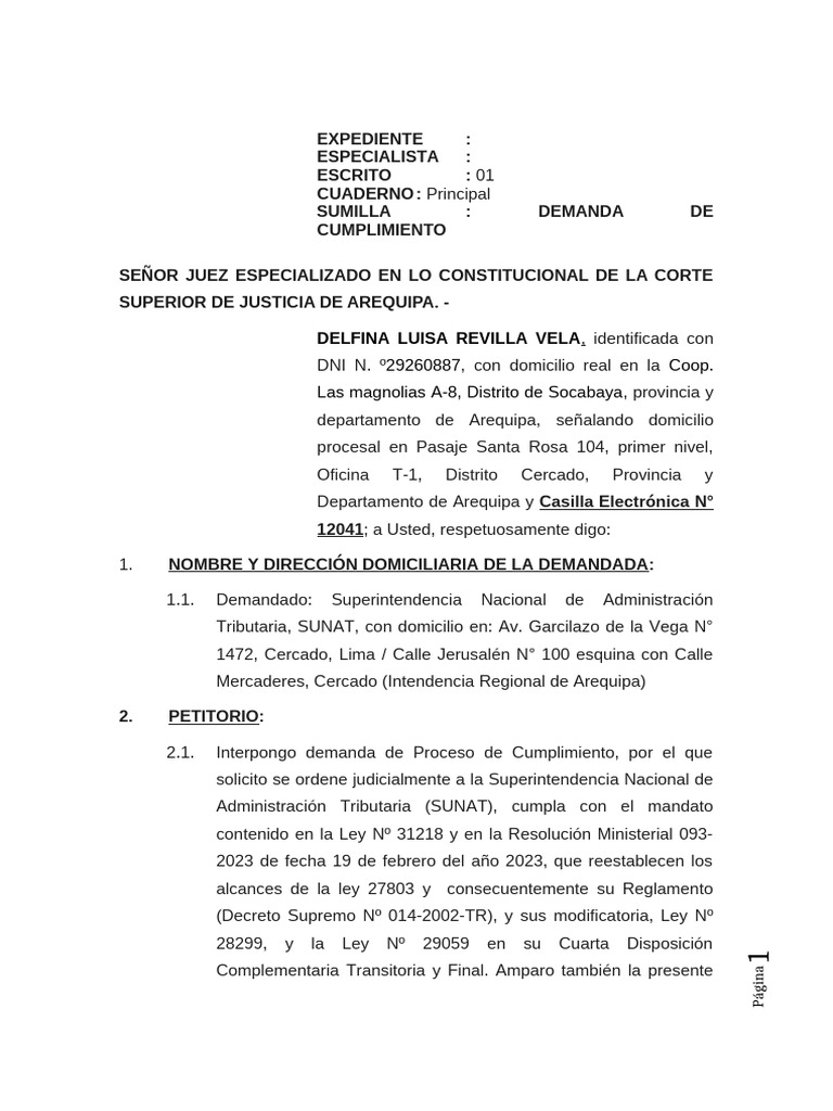 Demanda Delfina Revilla Borrador 1 | PDF | Constitución | Ley procesal