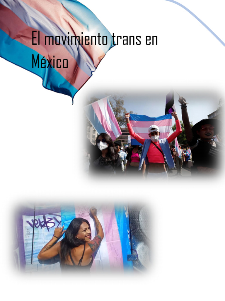 Historia y lucha del movimiento trans en México | PDF | Estudios ...