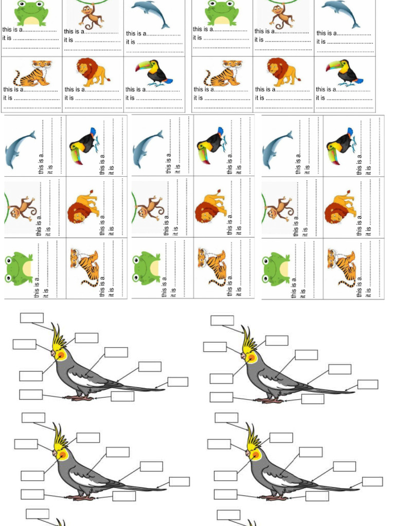 Animals Adjectives Parts of The Body | PDF