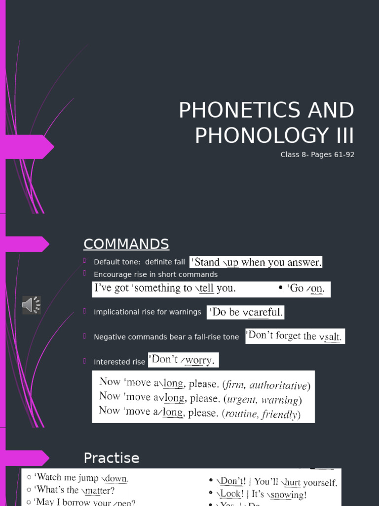 Phonetics and Phonology: Tone Patterns | PDF