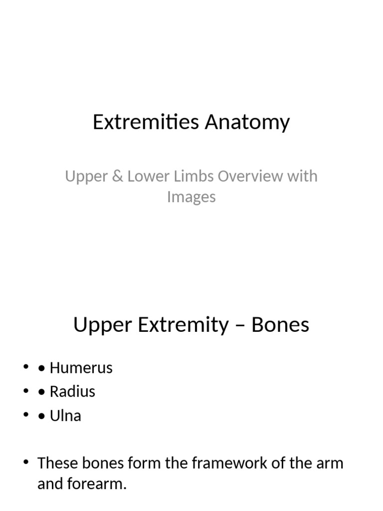 Extremities Anatomy Presentation | PDF