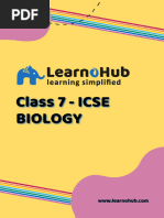 APA7 Citation Generator. Citefast Automatically Formats Citations in ...