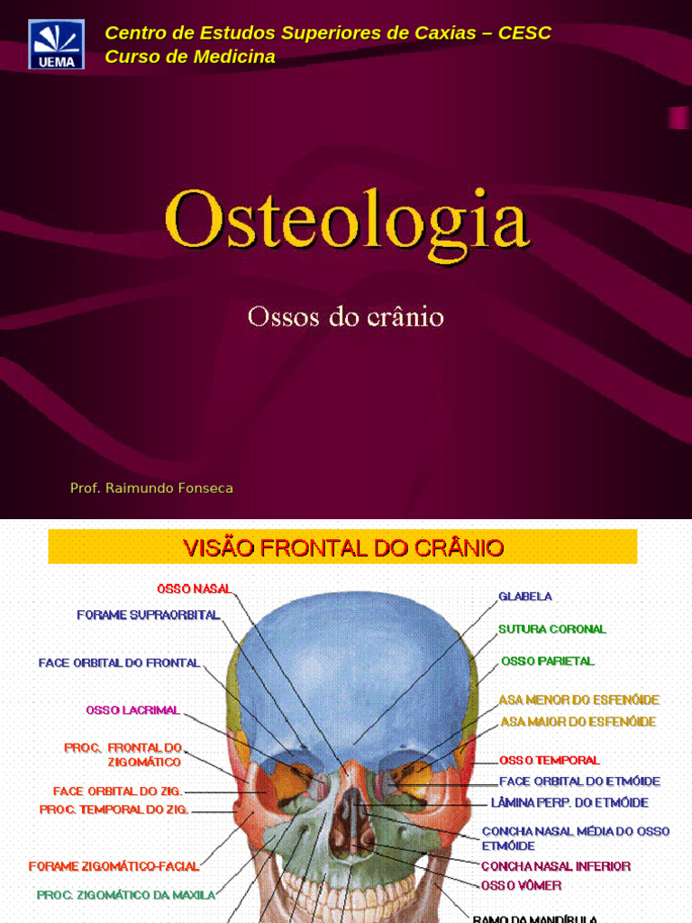 Anatomia - Ossos Do Cr_nio | PDF