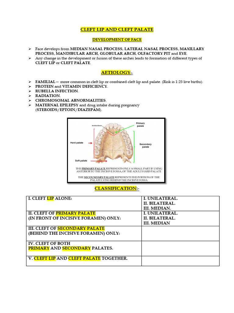 Cleft Lip and Cleft Palate | PDF | Human Nose | Medical Specialties