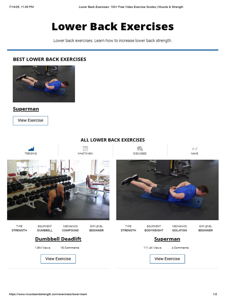 Lower Back Strength Training Guide | PDF | Determinants Of Health | Weight