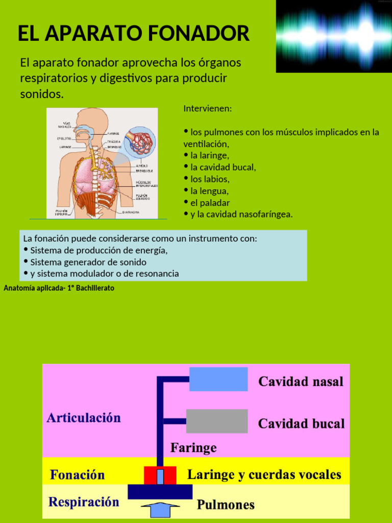 Fonacion 2 | PDF | Sonido | Respiración