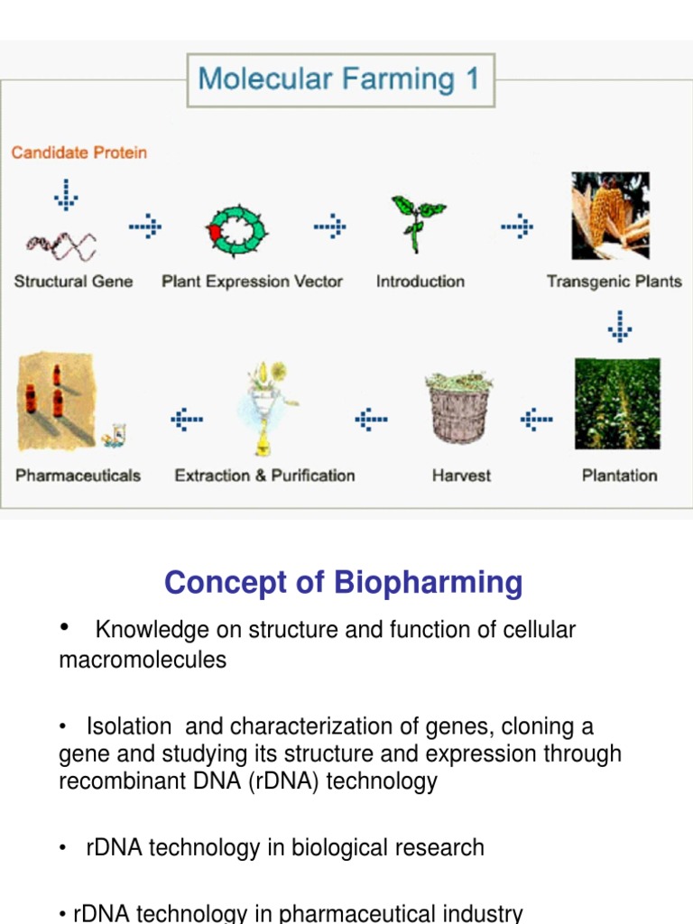 Biopharming Training | PDF | Transgene | Vaccines