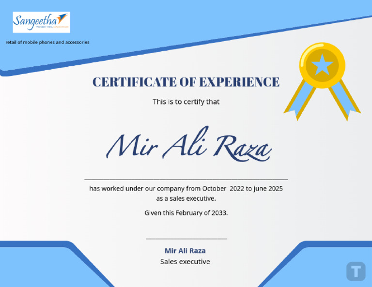 Software Experience Certificate Template | PDF