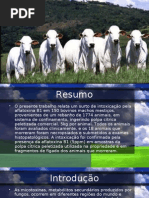 Gso 993 - Abate Halal | PDF | Matadouro