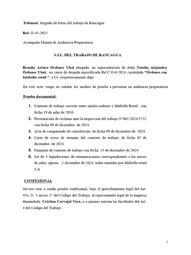 Acompaña Medios de Prueba | PDF