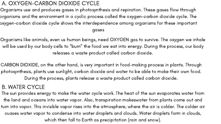 Bio-Cycles The Oxygen-Carbon Dioxide Cycle and The Water Cycle | PDF