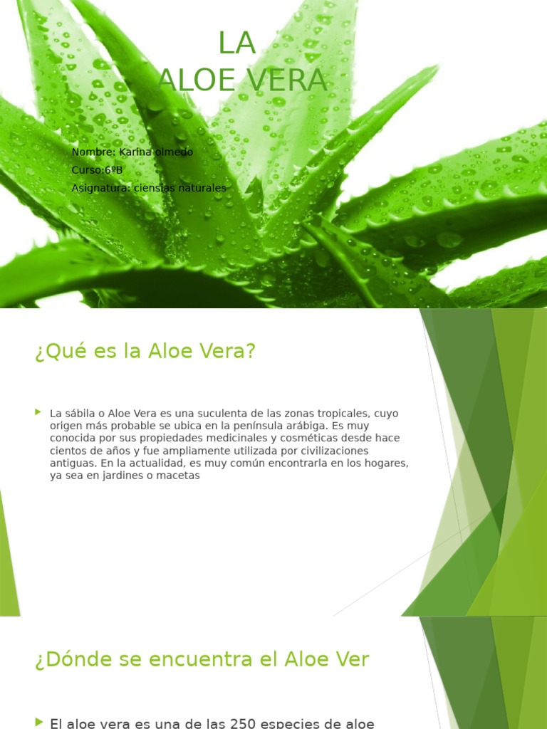 Aloe Vera | PDF