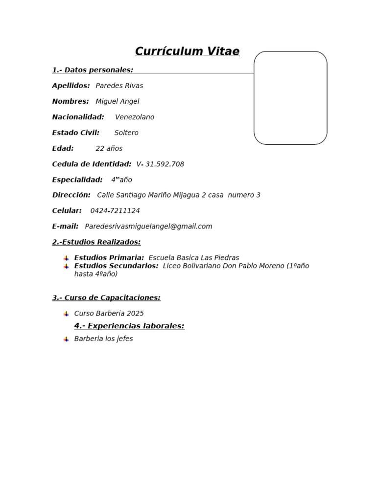 Currículum Miguel Angel | PDF