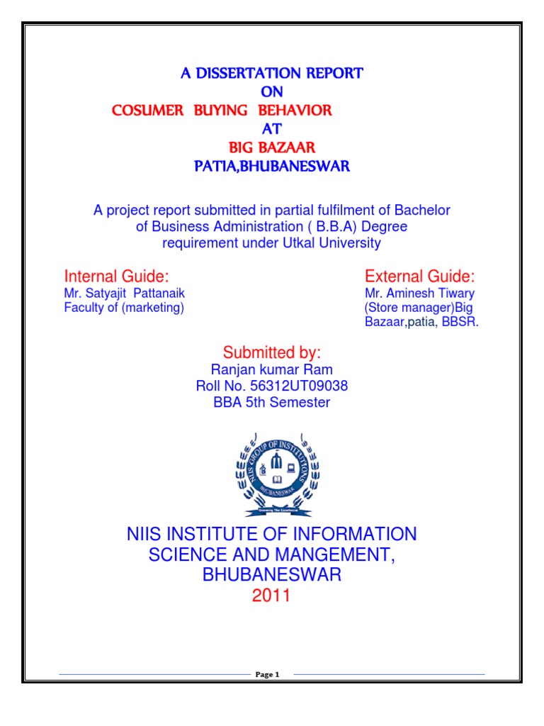 A Dissertation Report | PDF | Consumer Behaviour | Behavior