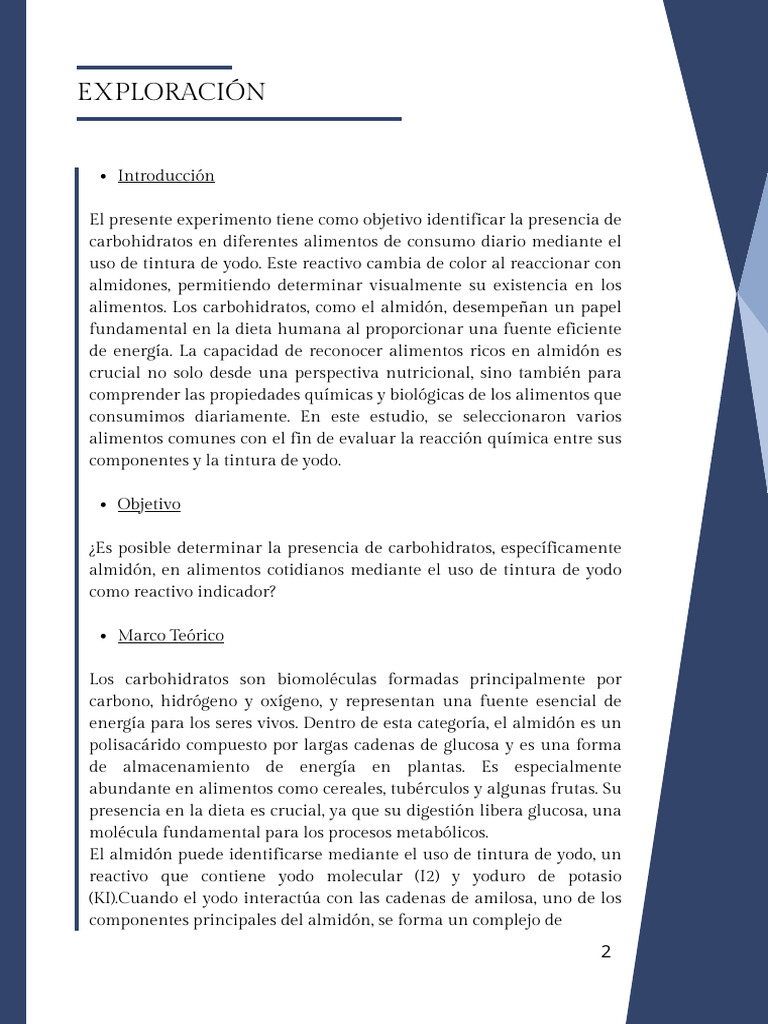 Informe Cientifico n1 | PDF | Carbohidratos | Almidón