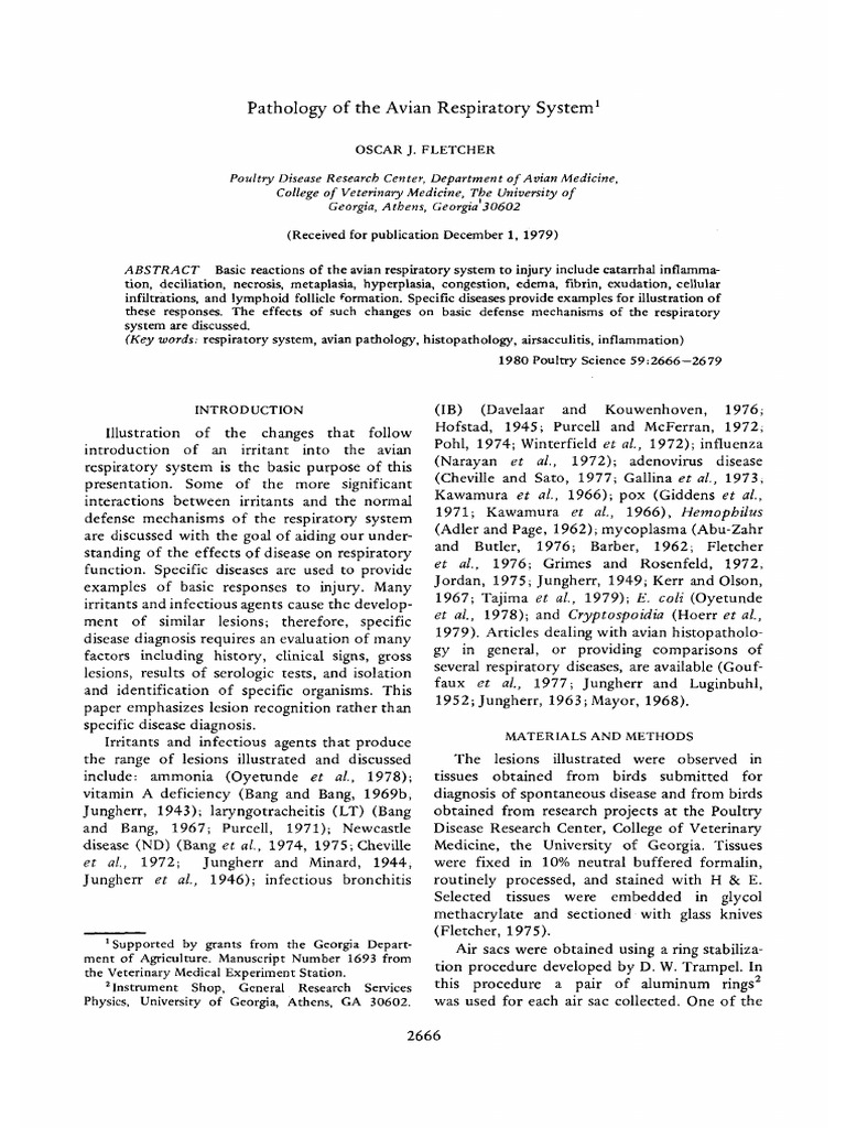 Avian Lung Histopathology Overview | PDF | Lung | Epithelium