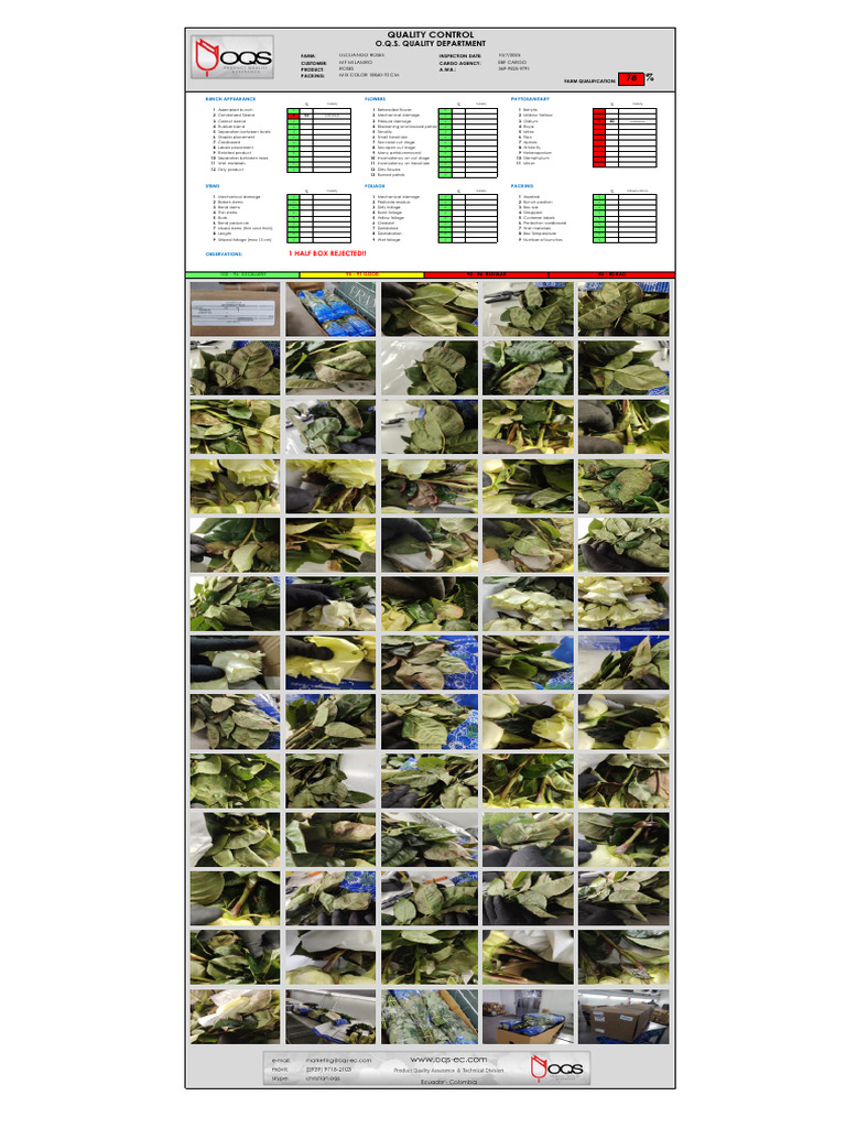 QC Agency Modesto Flower Rejection 10-07-2025 MF MILAMRO-ULCUANGO ROSES ...