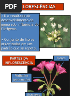 Aula 6 Flor Anatomia e Morfologia | PDF | Flores | Morfologia vegetal