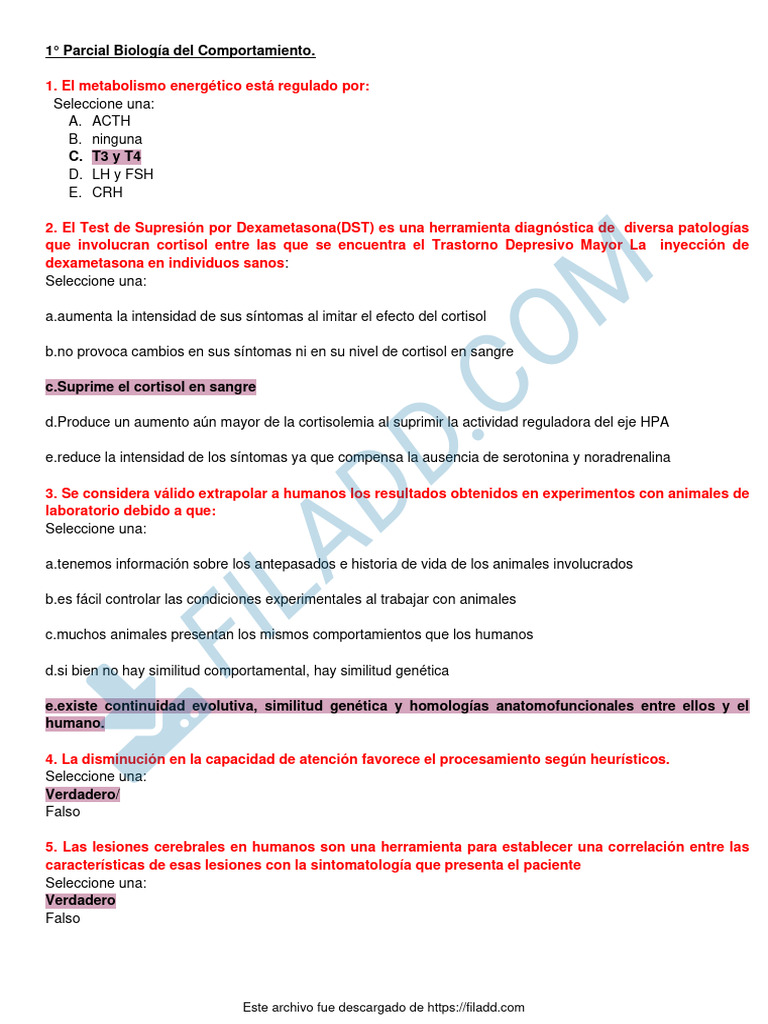 1 ParciaL BIO 2C - 231102 - 163942 2 | PDF | Estrés (biología) | Cortisol