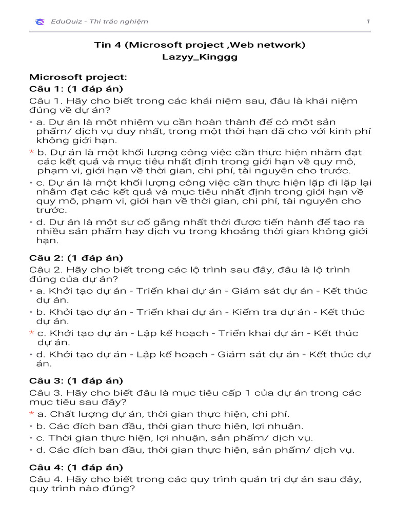 Tin 4 (Microsoft Project, Web Network) | PDF