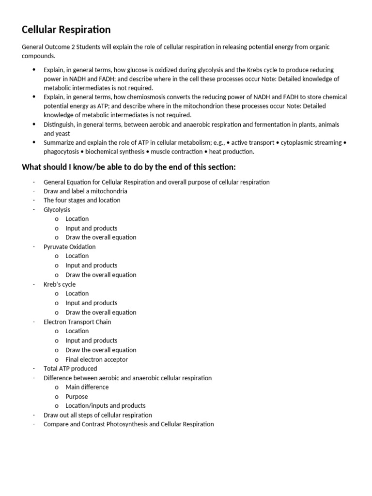 KEY 2022 Cellular Respiration Student Notebook | PDF | Cellular ...